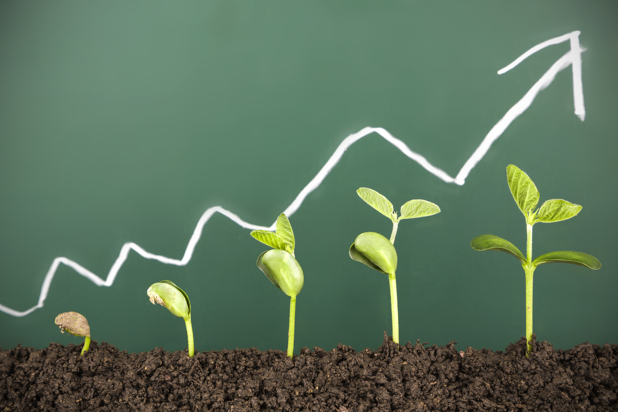 How To Scale up Your Business LE AS